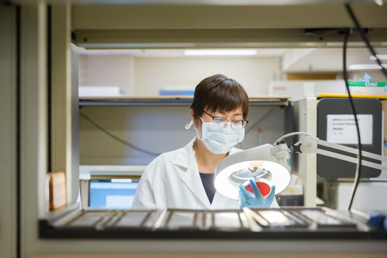 Laboratory Medicine - Unity Health Toronto