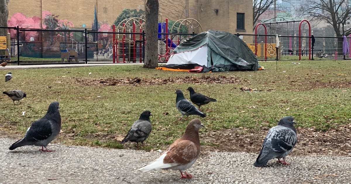 Filling the gaps: How Unity Health’s programs support Toronto’s ...