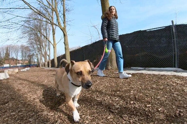 Employment Opportunities - Unity Health Toronto